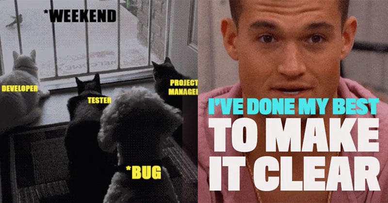 Top 25 des gifs sur la vie de développeur